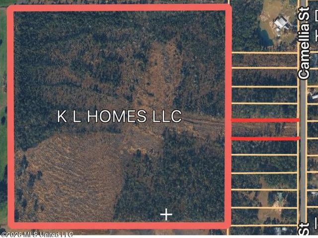 Camellia St, Kiln, MS 39556