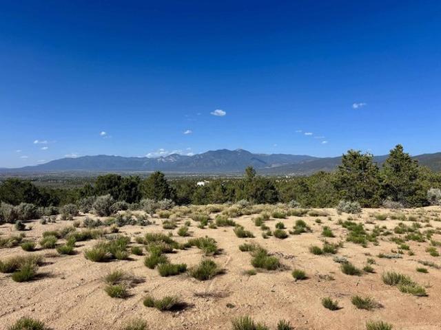 Camino De Gabriel Angel, Ranchos de Taos, NM 87557