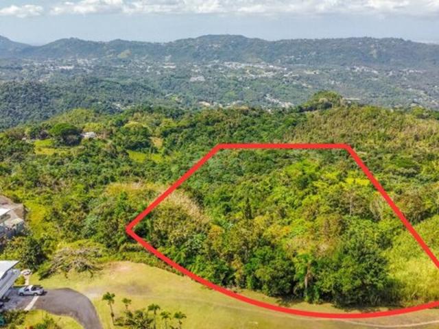 Camino Hormigas, Aguas Buenas, Plot For Sale