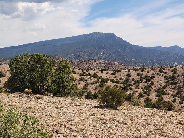 Camino Halcon, Placitas, NM 87043