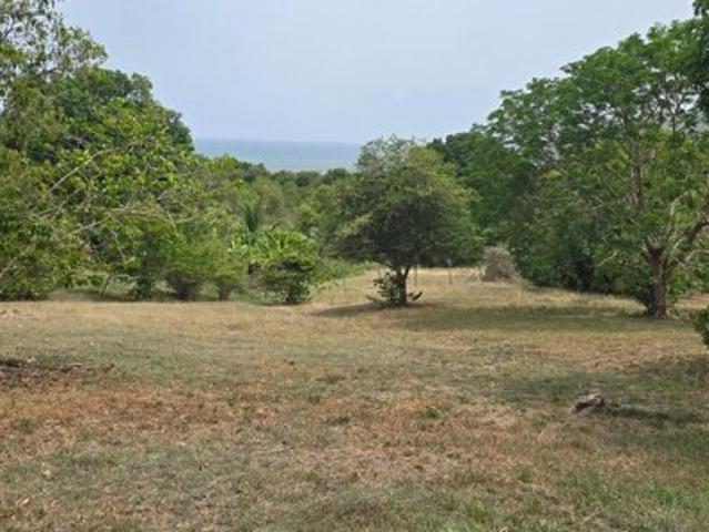 Camino Nuevo Unit Solar, Yabucoa, Plot For Sale