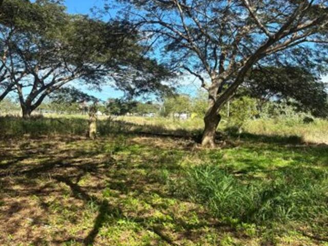 Camino Saman Unit,cabo Rojo, Plot For Sale