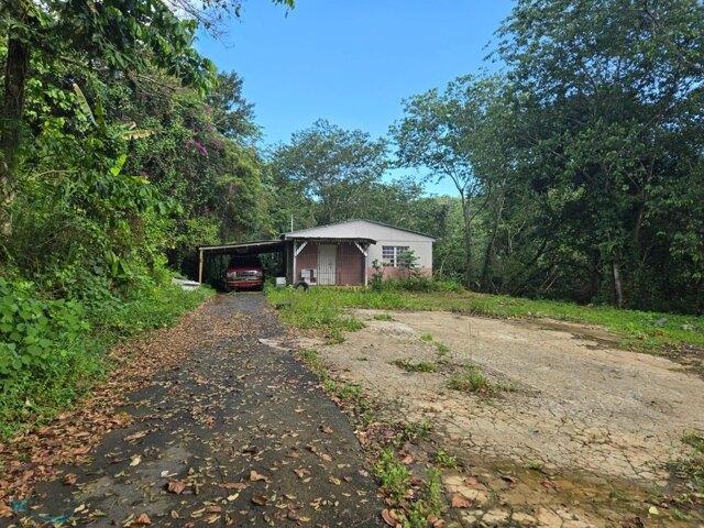 Camino Patria Rullan, Utuado, Plot For Sale