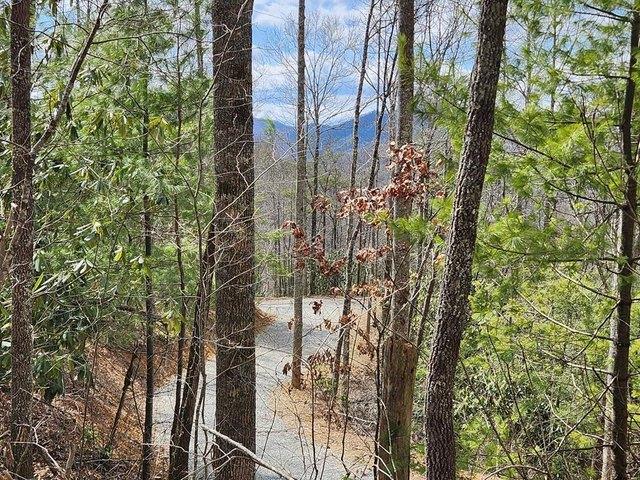 Camp Branch Rd, Topton, NC 28783