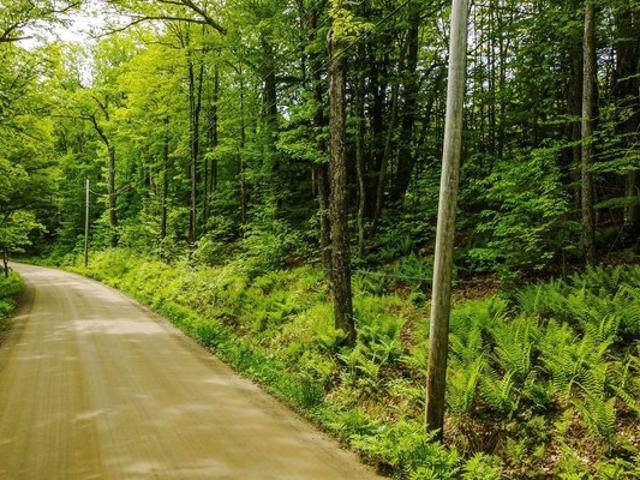 Camp Brook Lot Map 30 Rd Lot 67A, Alstead, NH 03602