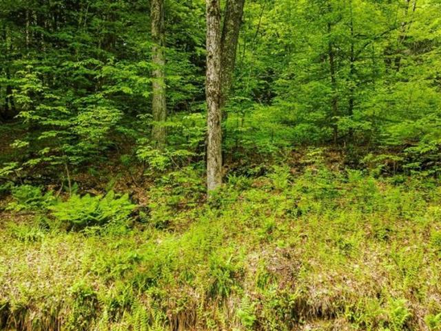 Camp Brook Rd Lot,alstead, Plot For Sale