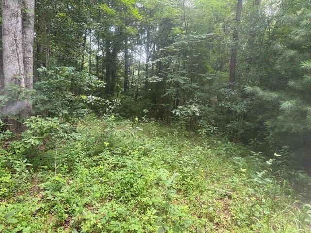 Camp Creek Estates Dr Lots 24 & 25, Murphy, NC 28906