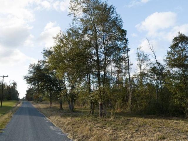 Camp Pearl Rd Lot 4, Reeves, LA 70658