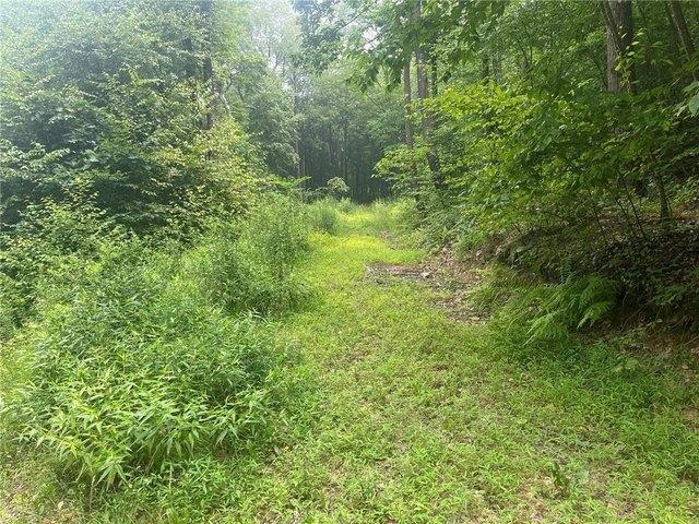 Camp Run Rd Lot 10, Donegal, PA 15628