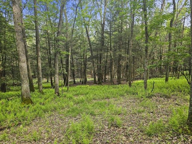 Camp Rd, Clearfield, PA 16830