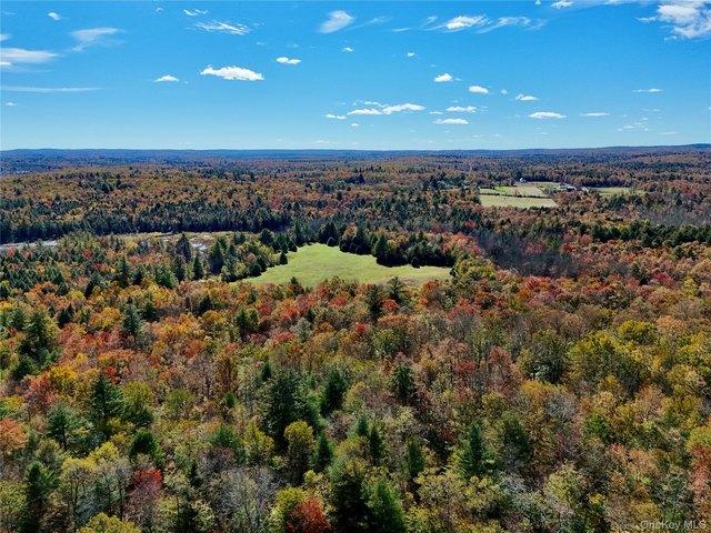 Camp Rd, Ellenville, NY 12428