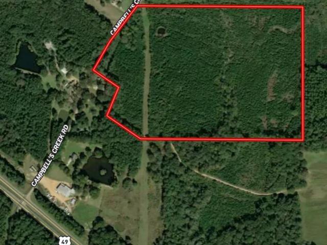 Campbell Creek Rd, Mendenhall, MS 39114 | MLS #4077