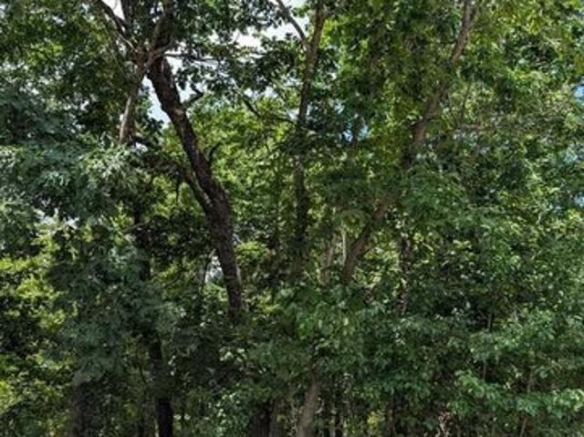 Campbell Ln Lot 14, Bella Vista, AR 72715