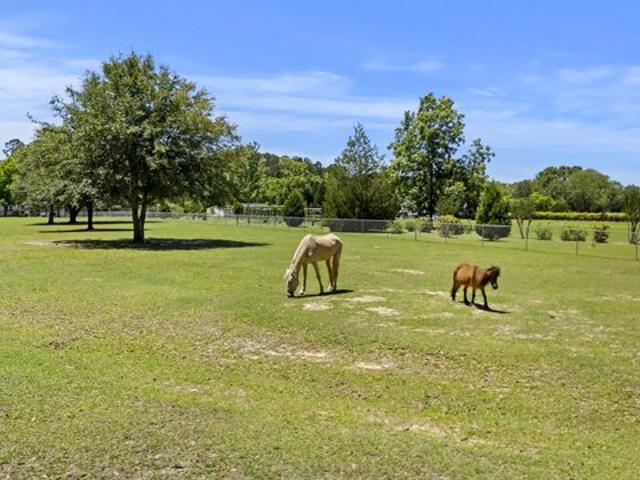 Campbell Rd, Ridgeville, SC 29472