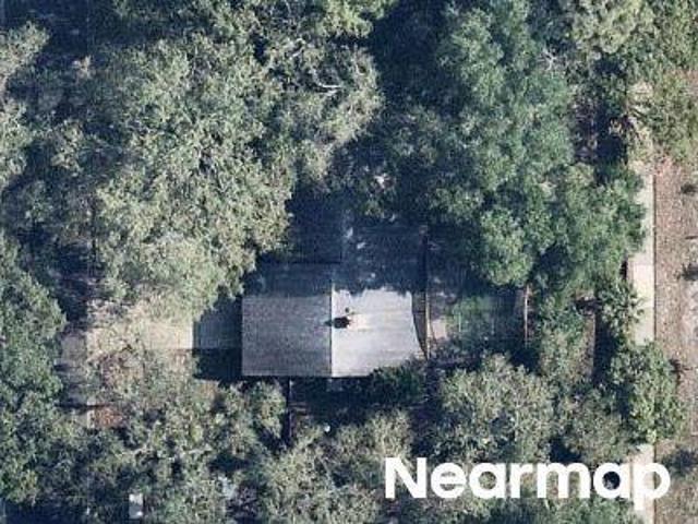 Camphor Tree Dr