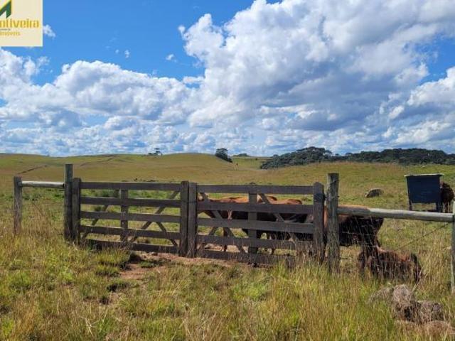 Campo a beira da Rota do Sol!