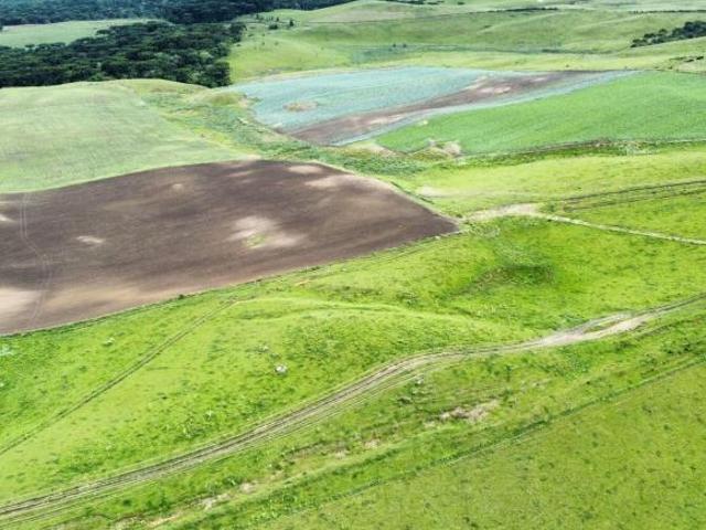 Campo com parte de lavoura quase na cidade!