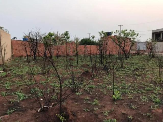 Campo Grande Terreno Padrão Vila Nasser
