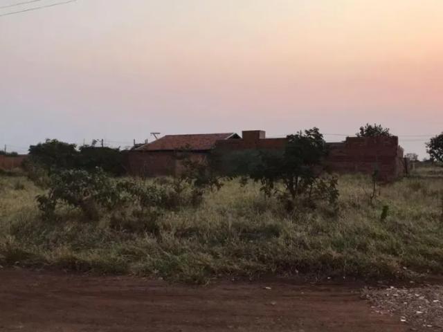 Campo Grande Terreno Padrão Vila Nasser