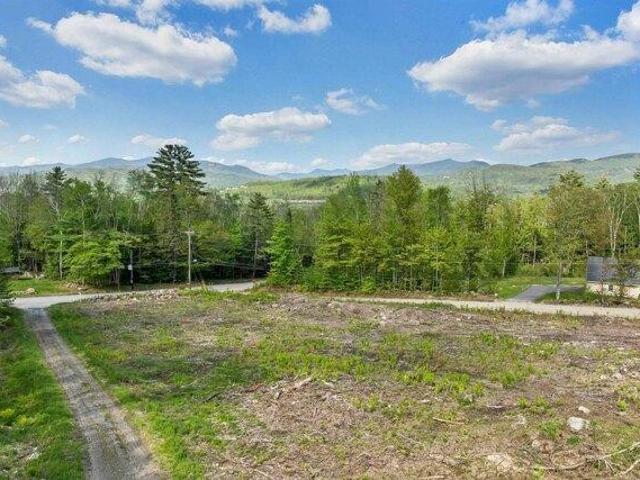 Campton NH 03223 LS103019843
