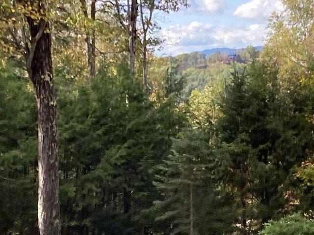 Campton NH 03223 102060682