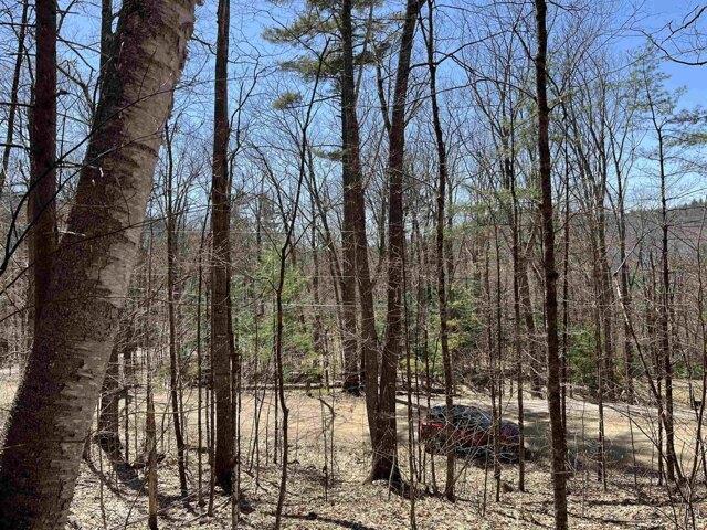 Campton NH 03223 104296777