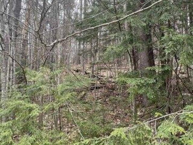 Campton NH 03223 104443347