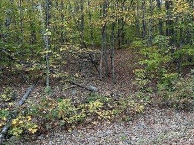 Campton NH 03223 105142137