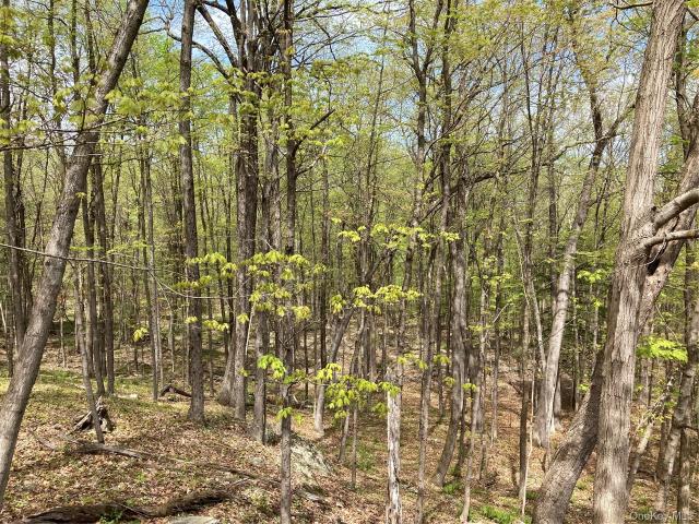 Canterbury Dr, Newburgh, NY 12550 | MLS #991686