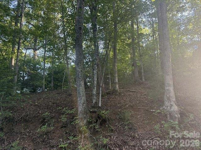 Canterbury Rd, Cullowhee, NC 28723