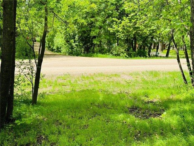 Canterbury Sands Trl Lot 4, Battle Lake, MN 56515