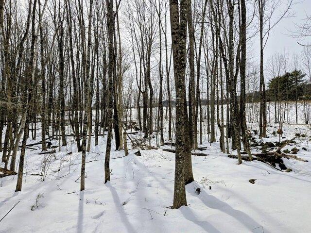 Canton Mountain Rd Lot,plot For Sale