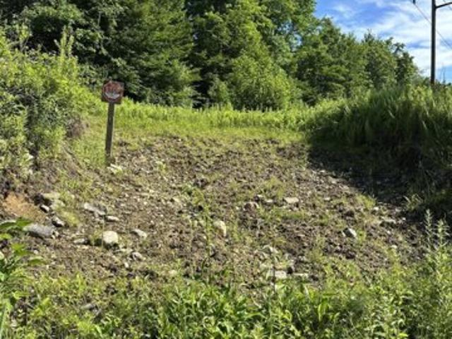 Canton Mountain Rd Lot,plot For Sale