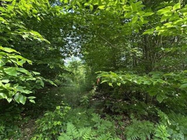 Canton Mountain Rd Lot,plot For Sale