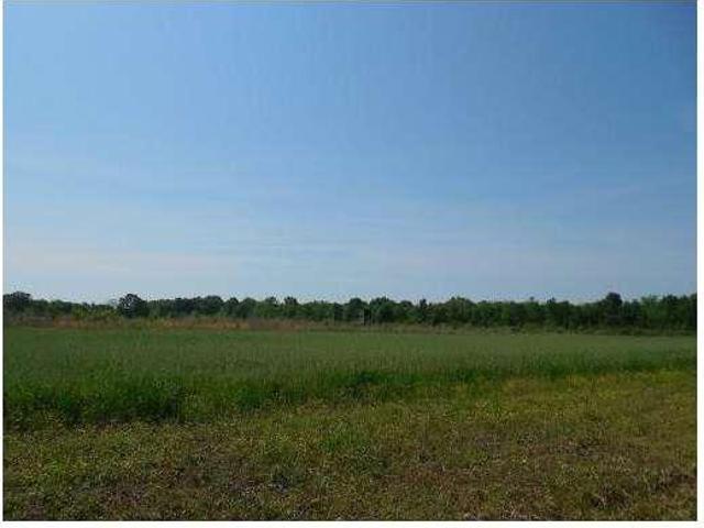 Canton, MS Madison Country Land 102 acre for sale in Canton, Mississippi