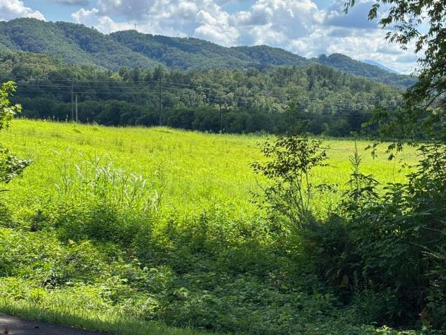 Canupp Drive, Sevierville, TN 37876