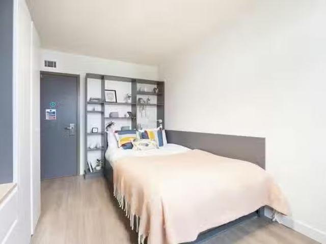 Canvas Capital House Townhouse Shared Apartment Lower Level