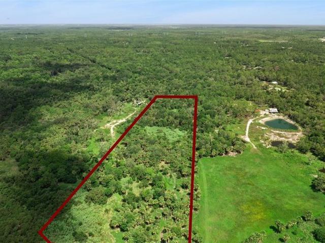 Canvasback Trl, Geneva, FL 32732