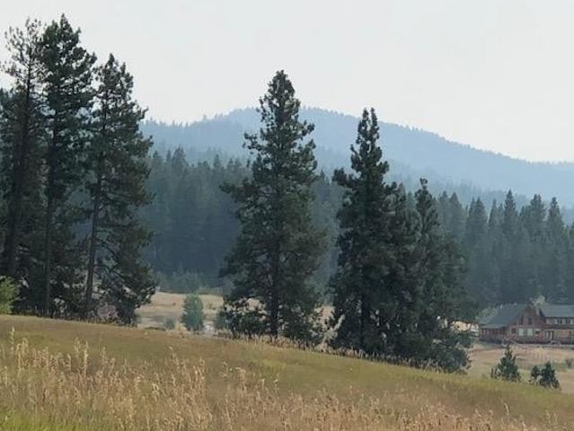 Canyon Creek Way Unit 14, New Meadows, ID 83654