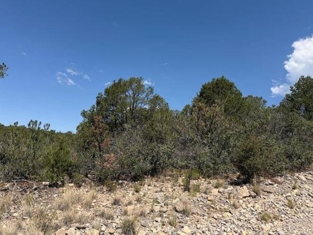 Canyon Dr, Timberon, NM 88350