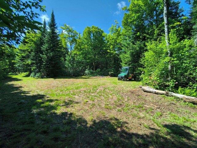 Canaan Hill Rd, Averill, Plot For Sale