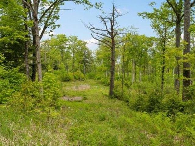 Canaan NH 03741 104045381