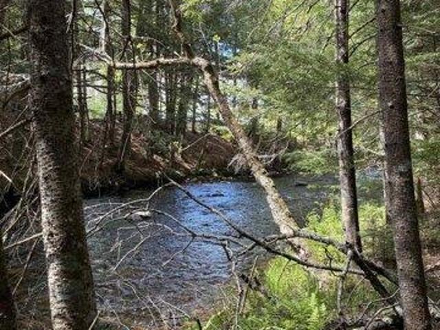 Canaan NH 03741 104510977
