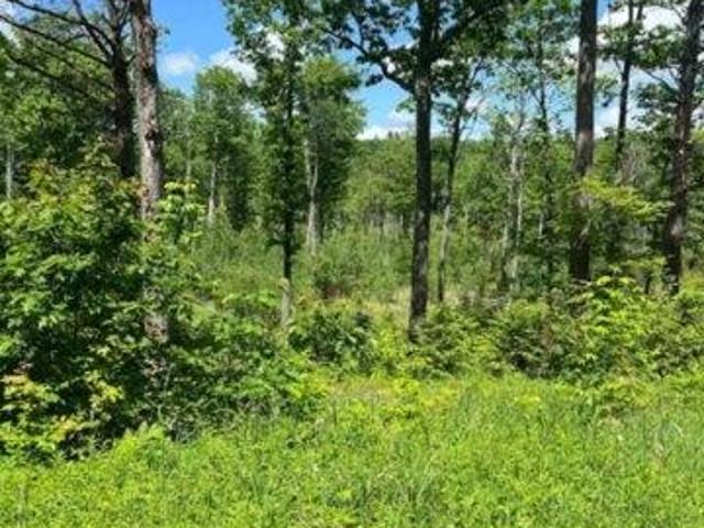 Canaan NH 03741 104720120