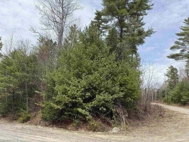 Canaan NH 03741 LS101801323