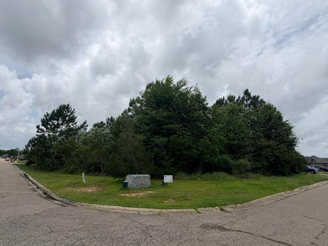 Canal Junction Drive, Gulfport, MS 39503