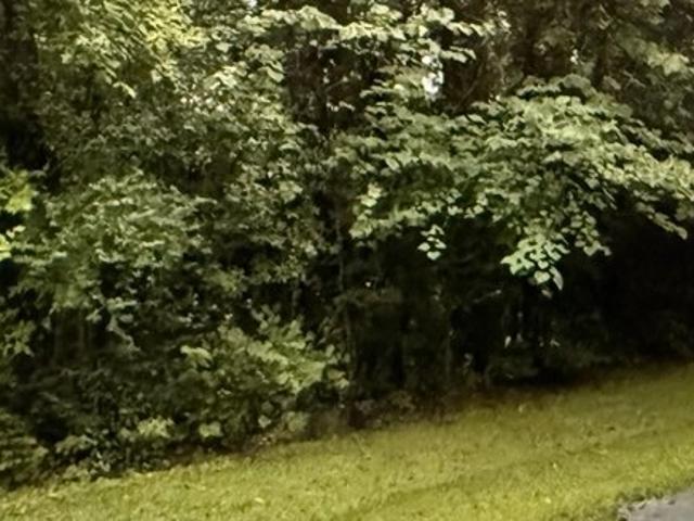 Canal St Lot 30, Childersburg, AL 35044