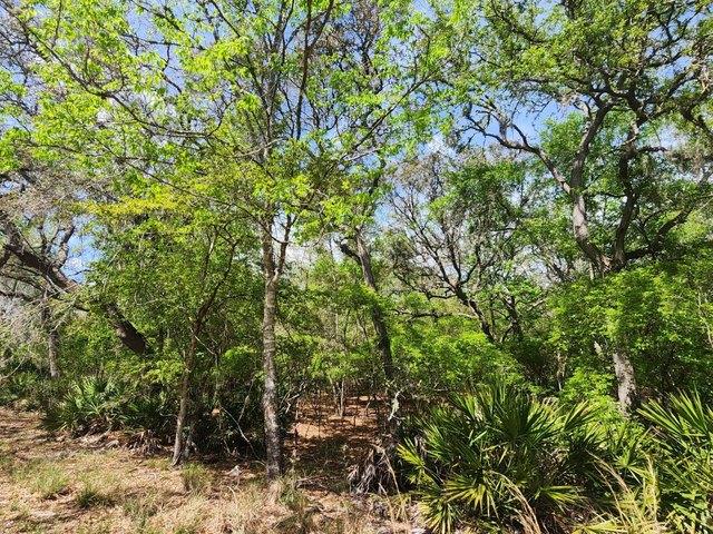 Canal St Lot 7, Fanning Springs, FL 32693