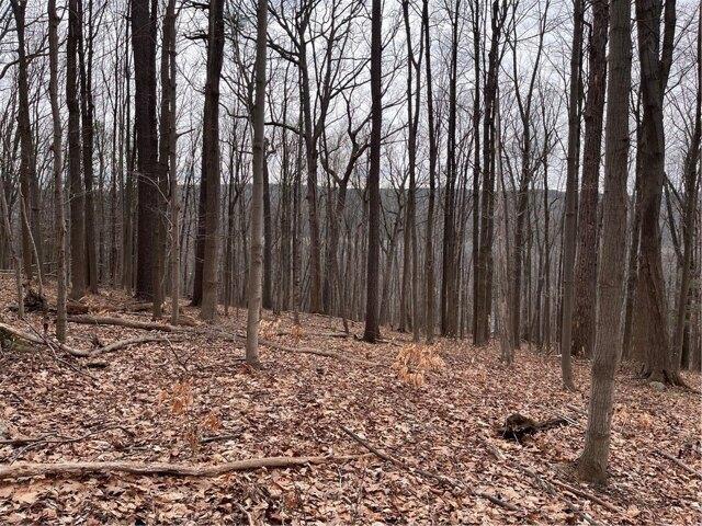 Canandaigua NY 14424 104902819
