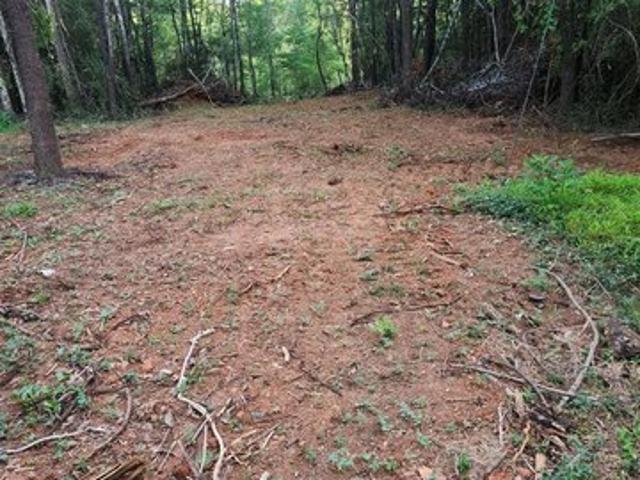 Canary Dr, Bassett, VA 24055